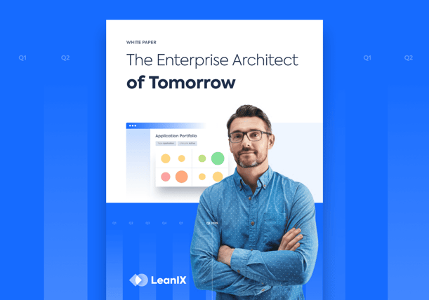 Enterprise Architect vs Domain Architect vs Developer | LeanIX